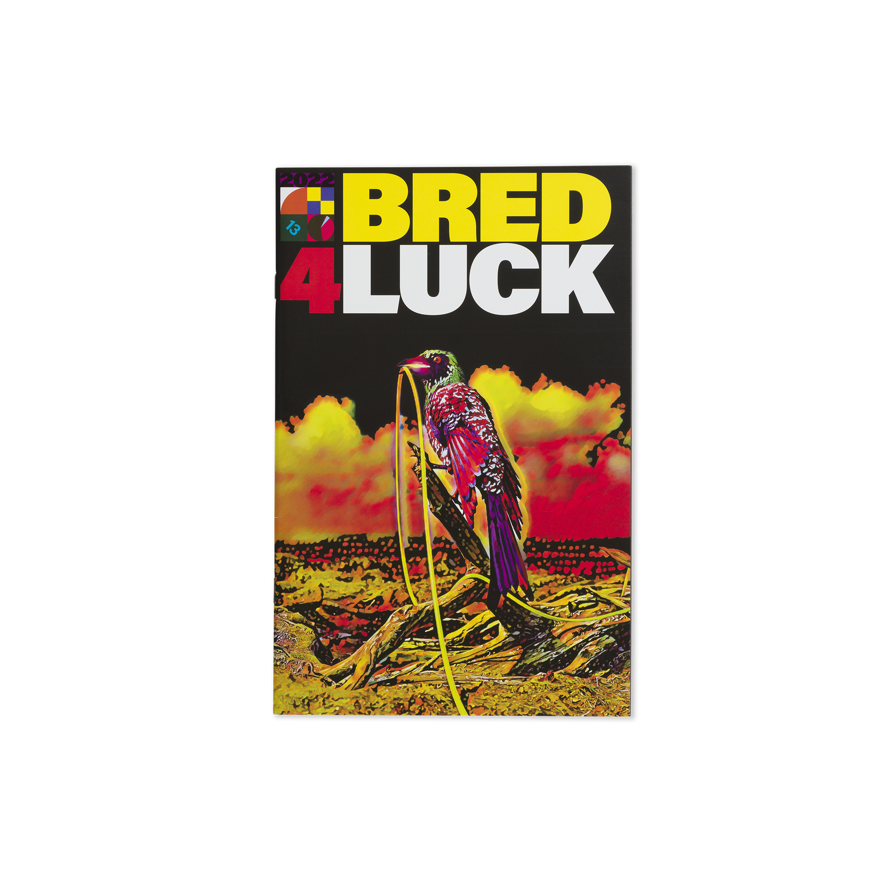 BRED FOR LUCK COMIC BOOK – Flume | Official Store